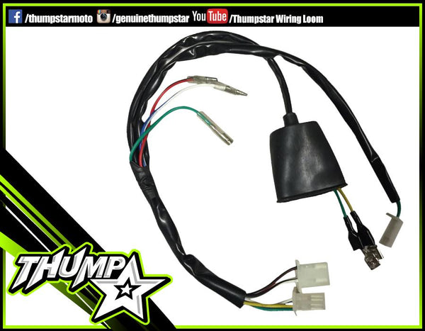 7355 | Wiring Loom | 2 Plug/5 Pin CDI | Splayed Wires – ThumpNZ